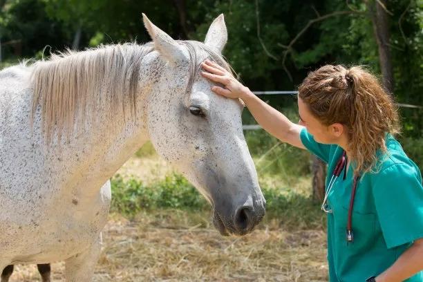 SCI期刊推荐:BMC VETERINARY RESEARCH - 知乎