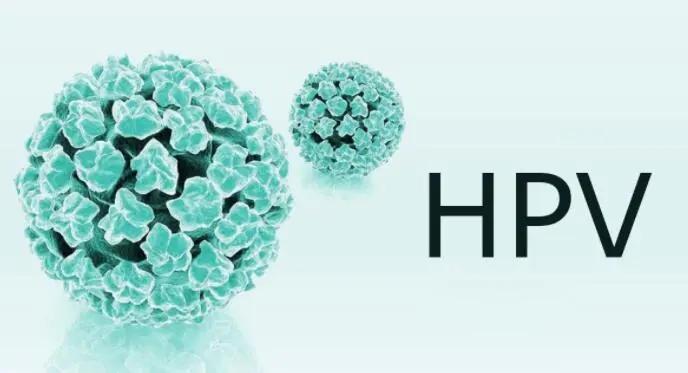 何亚习:HPV56阳性是什么意思？HPV56是怎么感染上的？ - 知乎