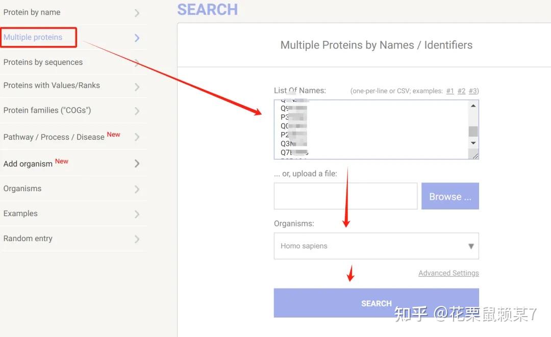零代码也能搞定！轻松完成 GO & Pathway分析~ - 知乎