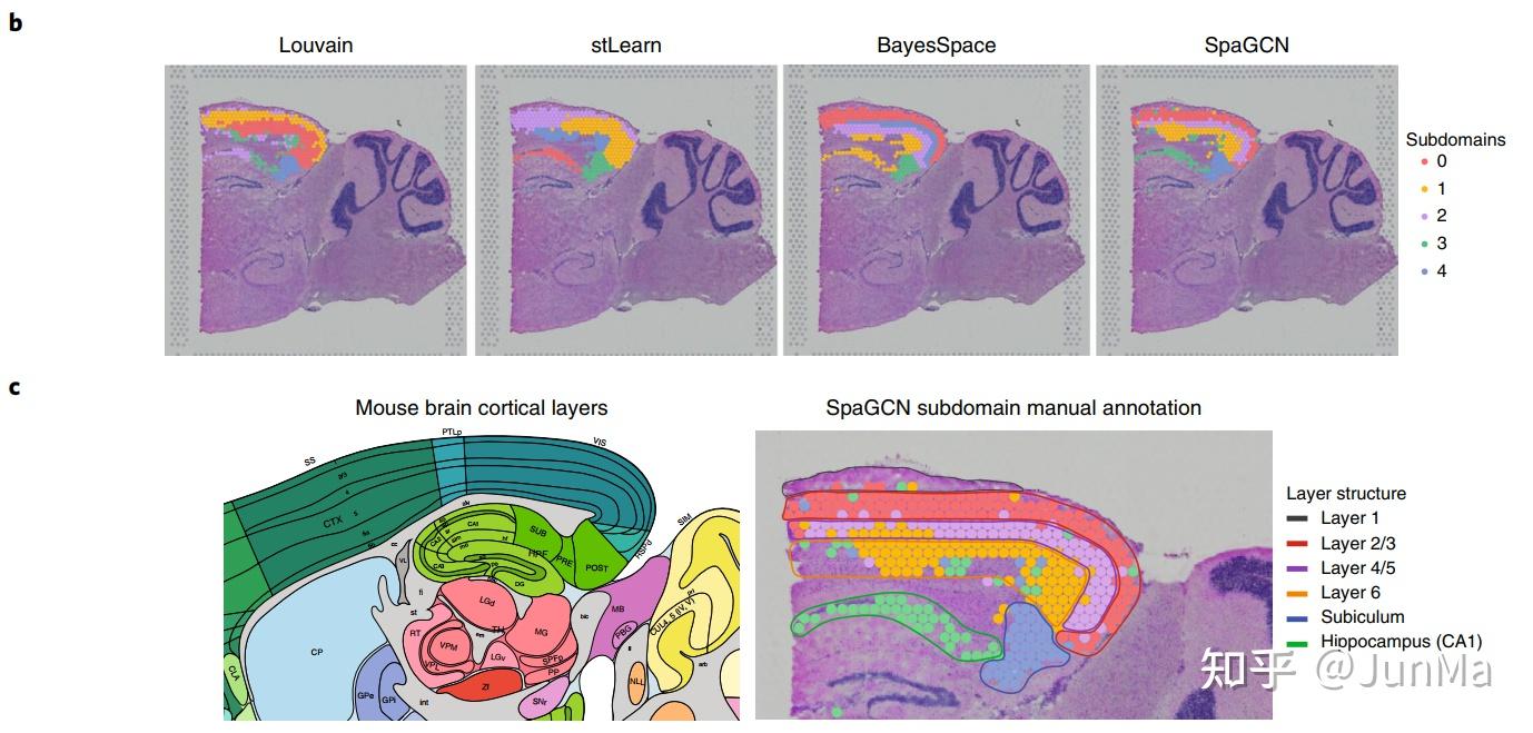 202110-Nature Methods-SpaGCN学习笔记 - 知乎