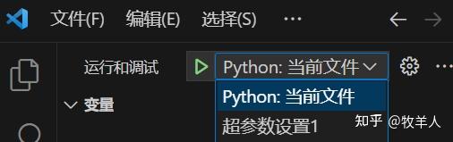 vscode上python进行debug大全 - 知乎