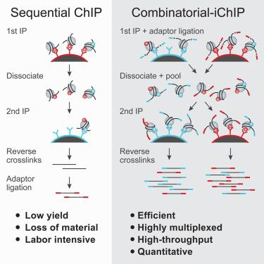 组合iChIP：Re-ChIP新思路 - 知乎