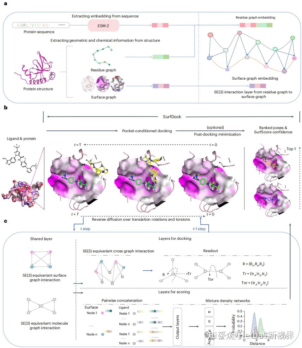 SurfDock—蛋白质-配体对接新工具 - 知乎