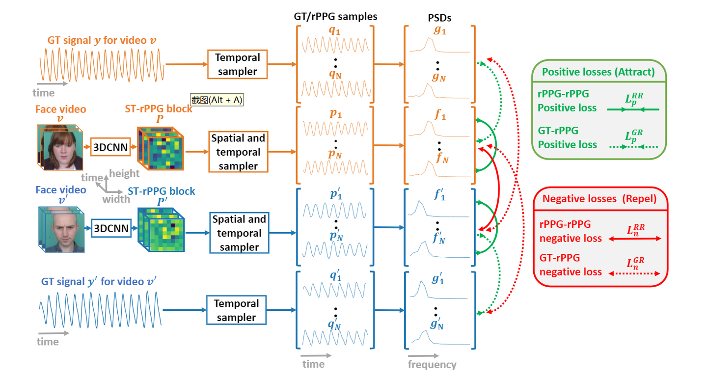 【rPPG论文阅读】Contrast-Phys+: Unsupervised and Weakly-supervised Remote Physiological Measurement - 知乎