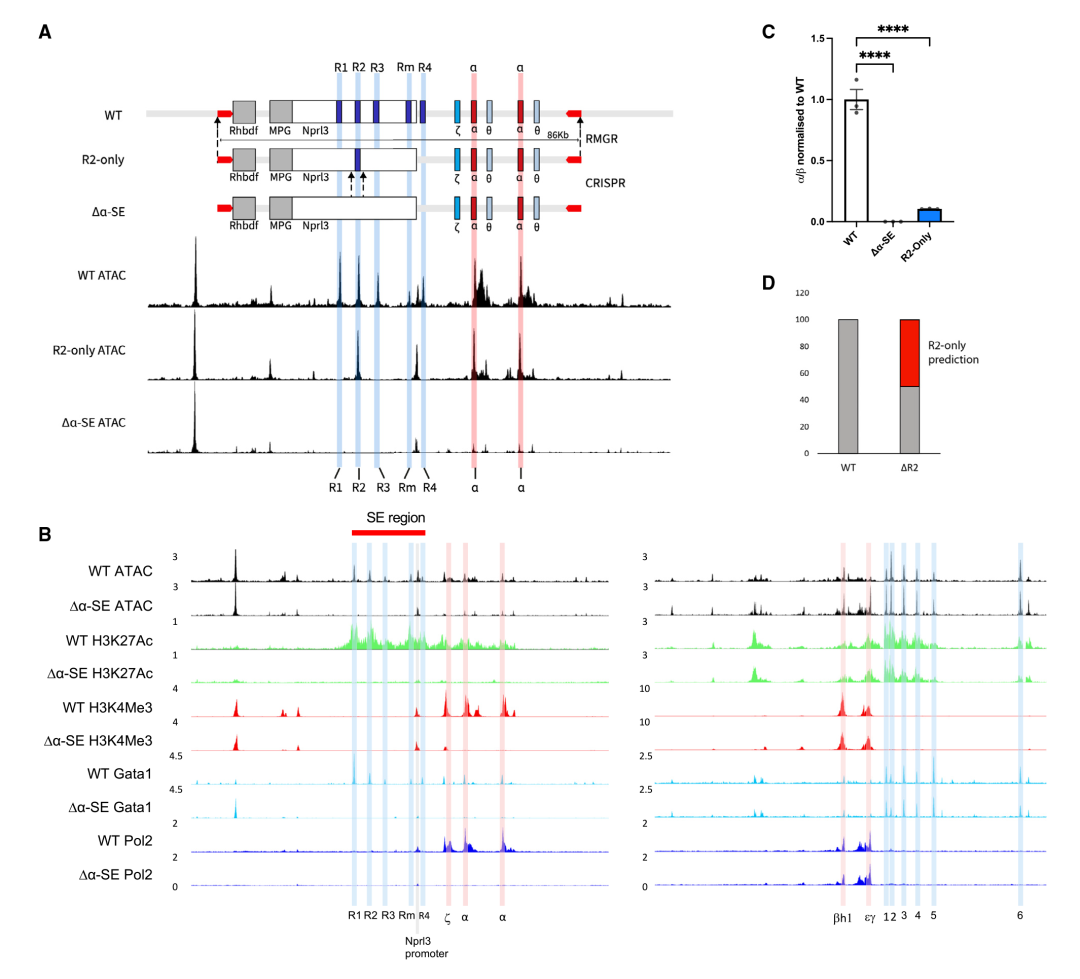 国自然热点|超级增强子“super”在哪？cell重磅发现：新型DNA调控元件——促进子 - 知乎