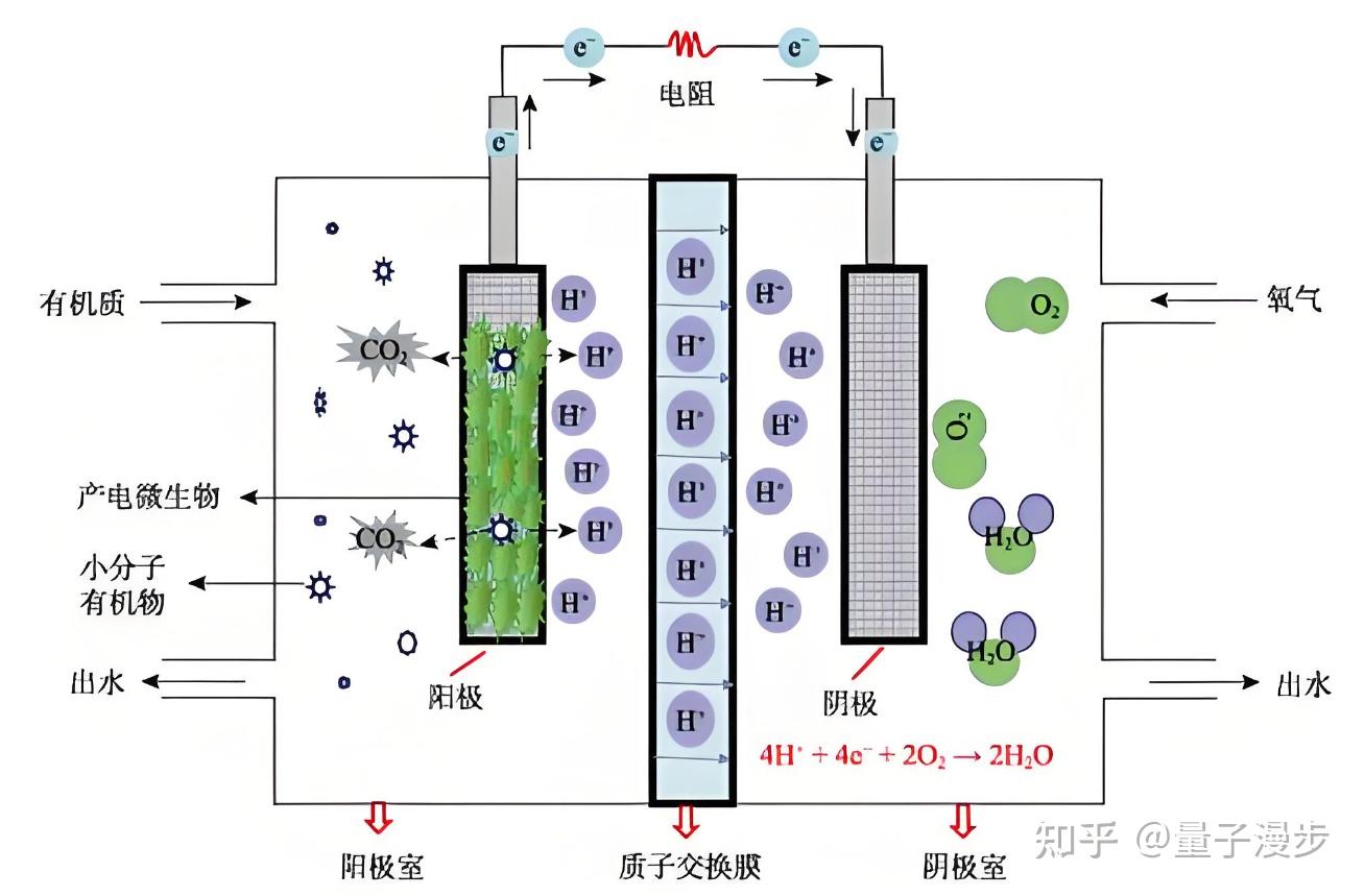 生物电池有什么原理？ - 知乎