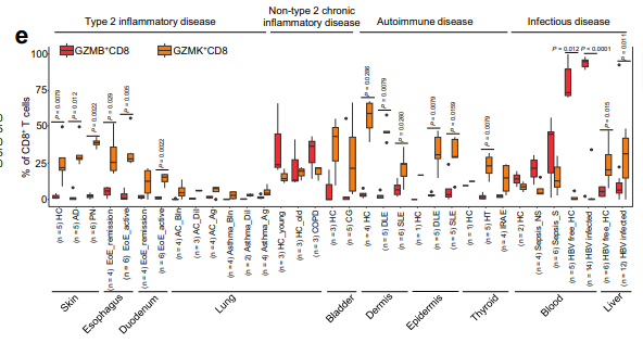 文献解读 | 10x 单细胞HD空转联合应用—揭示GZMK+CD8+ T细胞在鼻息肉中的促炎作用 - 知乎
