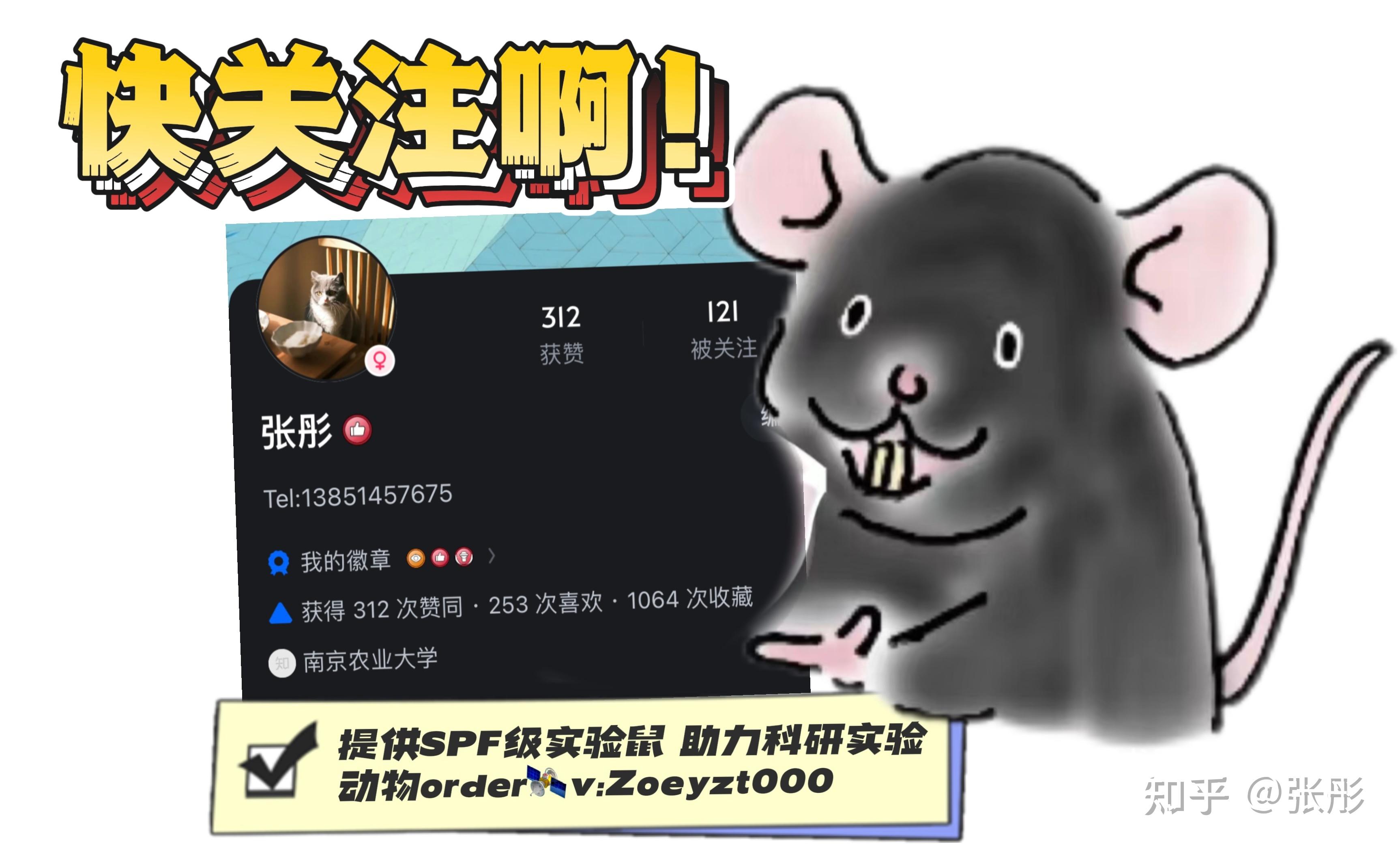 MMTV-PyVT乳腺癌小鼠模型 - 知乎