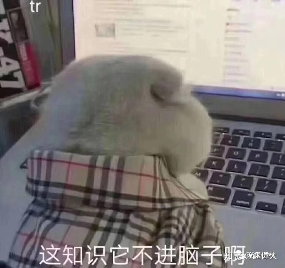 史上最详细NAATI三级翻译证书解析 - 知乎