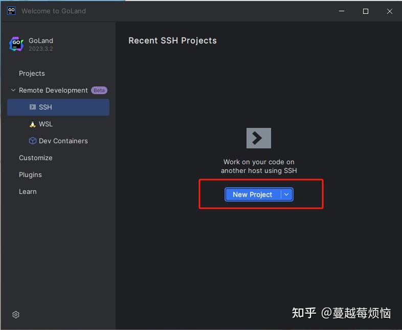 GoLand远程开发IDE：使用SSH远程连接服务器进行云端编程 - 知乎