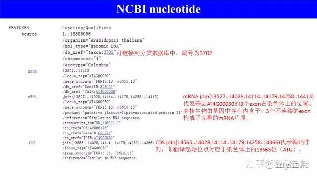 生信软件系列 - NCBI使用 - 知乎