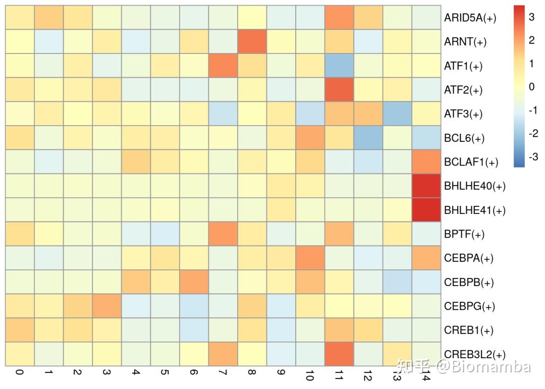非模式物种PySCENIC分析流程 - 知乎