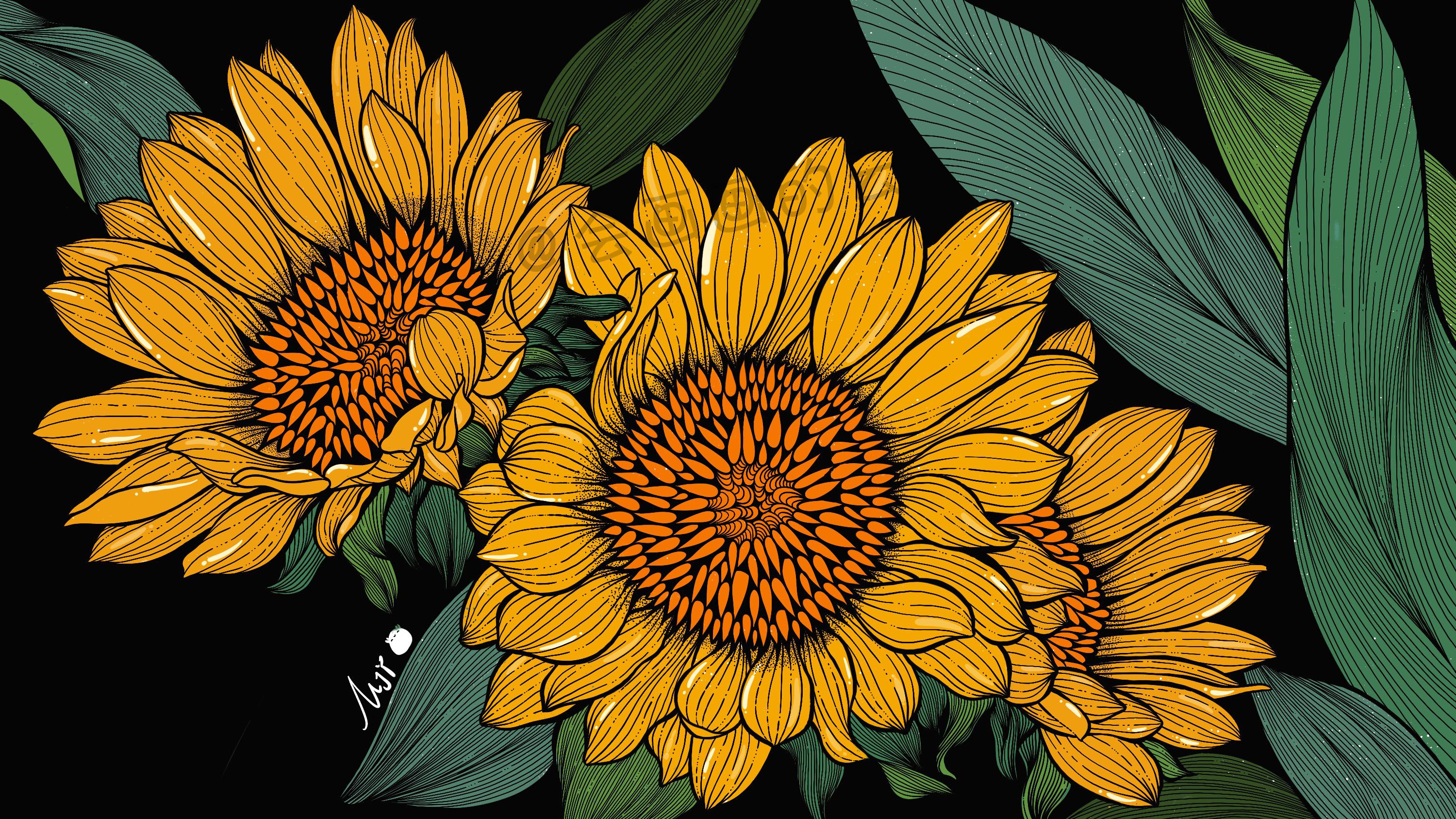 线条的魅力，线描插画过程图详细步骤讲解，教你如何零基础画画 - 知乎