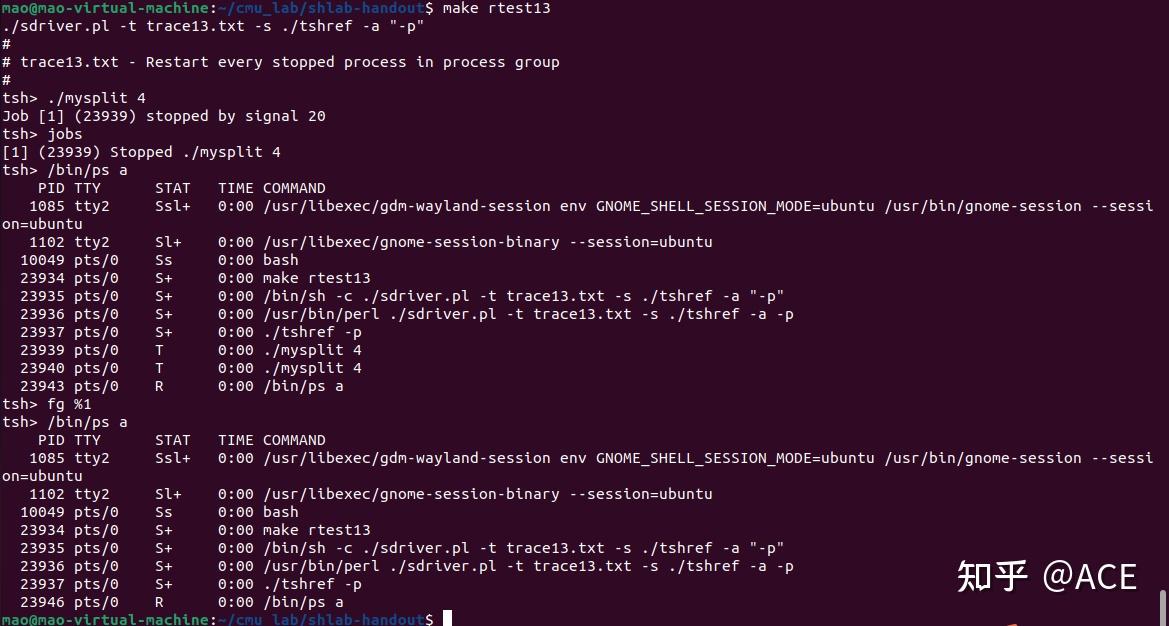 CSAPP课程Lab5 Shell Lab - 知乎