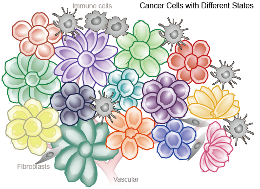 生信|单细胞数据库cancerSEA - 知乎
