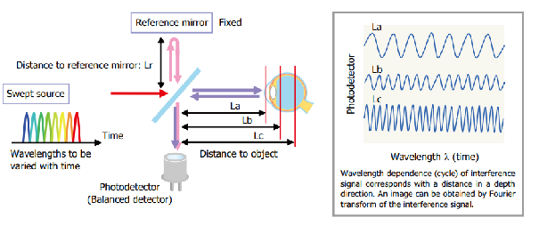 一文看懂OCT成像系统的技术原理(纯干货，纯重点） - 知乎