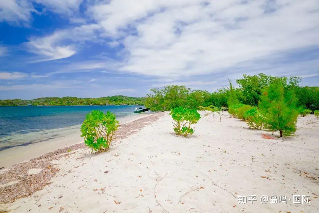 0076 Rose Cay｜490万美金的加勒比海私人岛屿 - 知乎