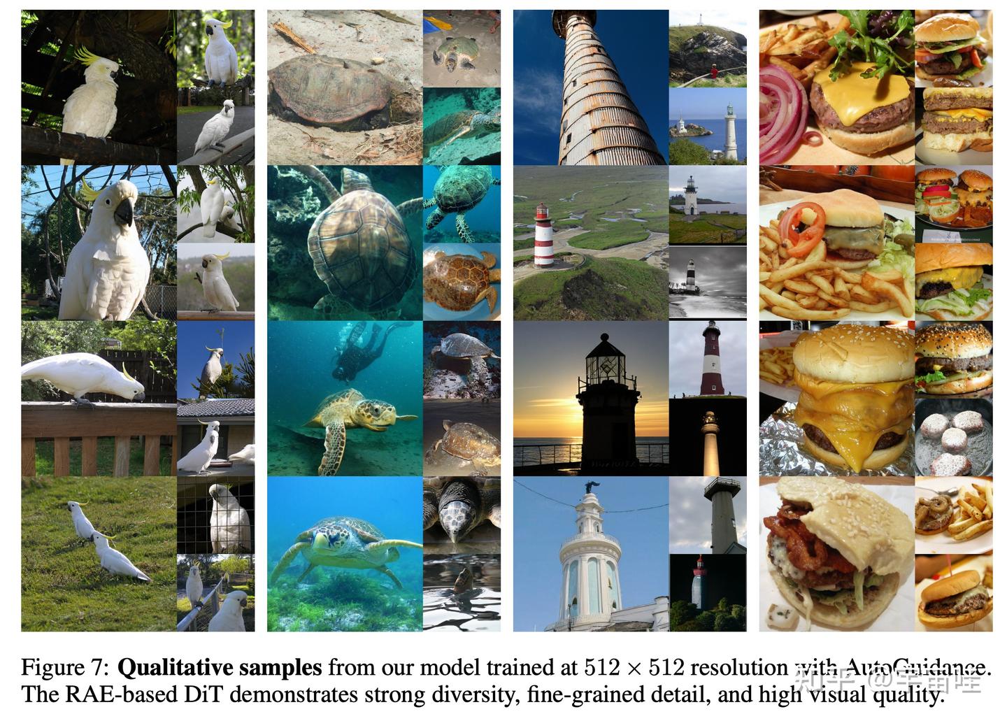 告别 VAE！解密 RAE 如何革新 Diffusion Transformer，登顶图像生成王座 - 知乎