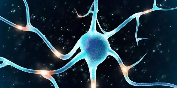 什么是Doose综合征，以及Doose综合征该如何诊断和治疗 - 知乎