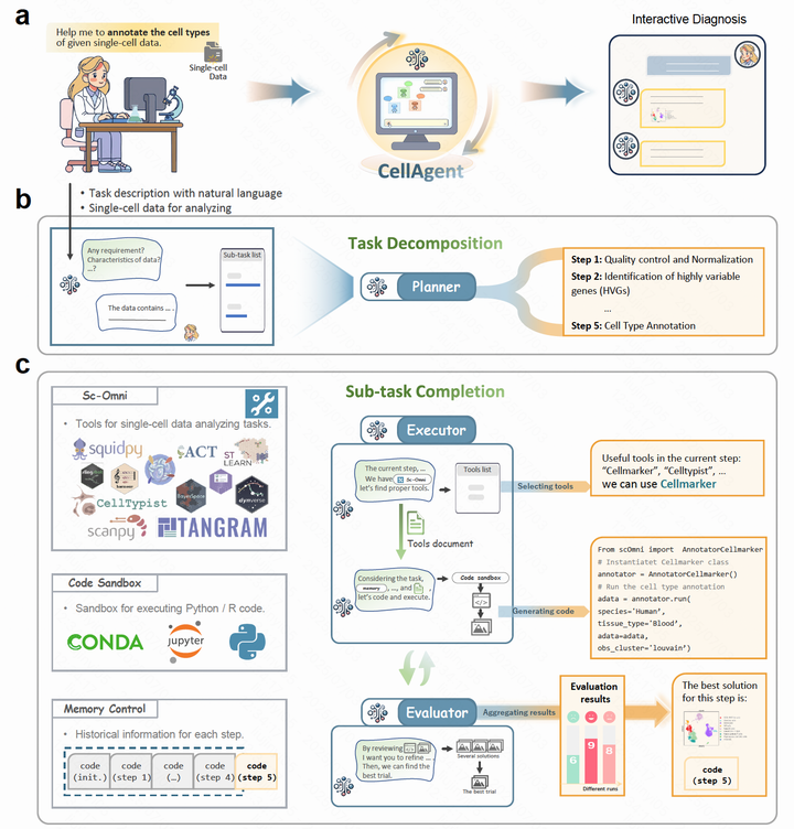 CellAgent：告别繁琐编程，与AI对话解锁单细胞数据自动分析！ - 知乎
