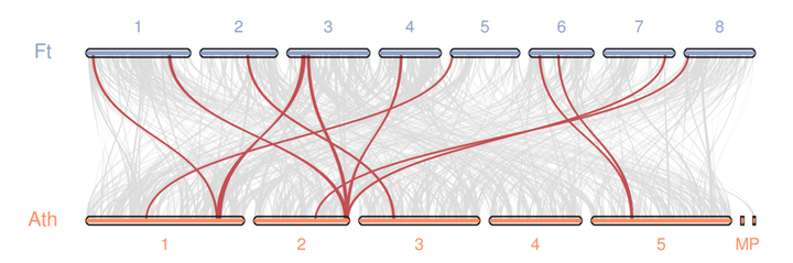 基因家族分析（9）物种间的共线性分析及jcvi绘图 - 知乎
