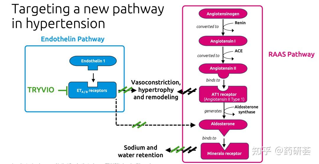 Idorsia：新型口服降压药Aprocitentan获FDA批准上市 - 知乎