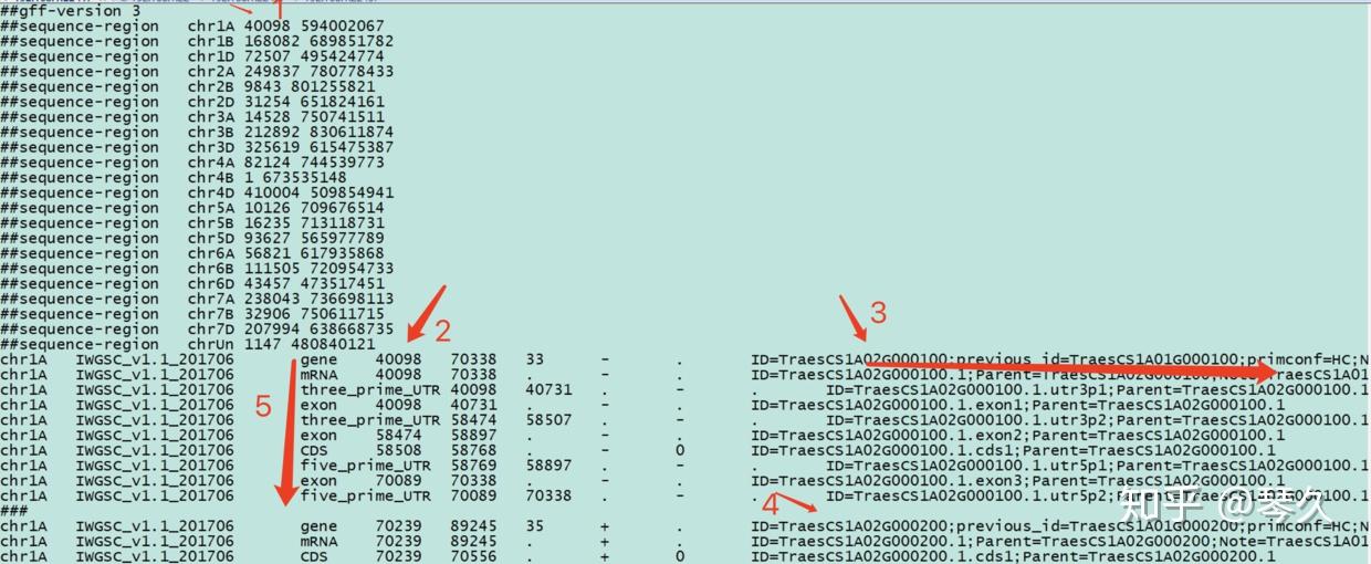 植物基因组-基因组分析中的“地图”文件(gff3和gtf文件介绍) - 知乎