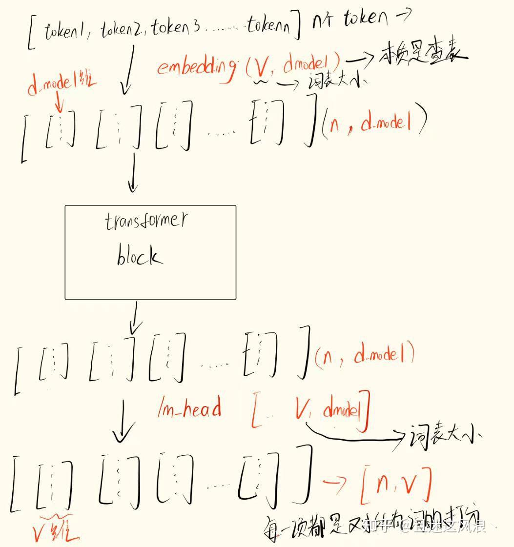 为什么原始transformer的lm_head层为什么要和token embedding层共享权重？ - 知乎