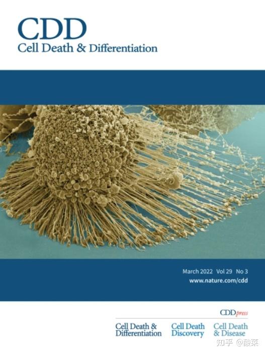 Nature旗下立志于搞死Cell的CDD们到底有啥区别？为啥会有人说“它”水？ - 知乎