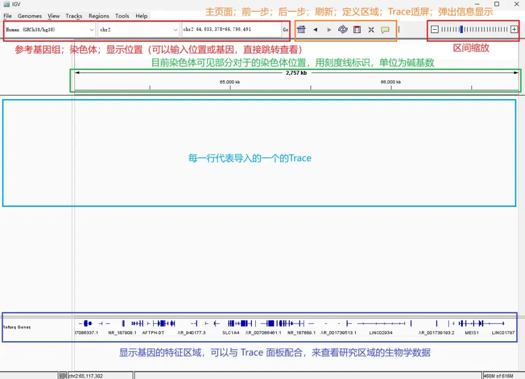 【干货】IGV使用手册 - 知乎