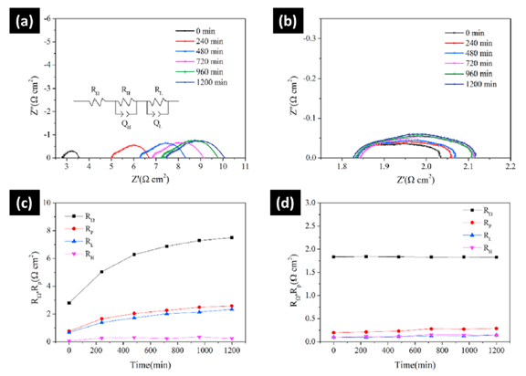 应用 | 固体氧化物燃料电池(SOFC)诊断及失效分析 - 知乎