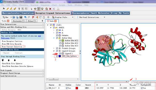 新手实现Autodock Vina对接的具体过程 - 知乎