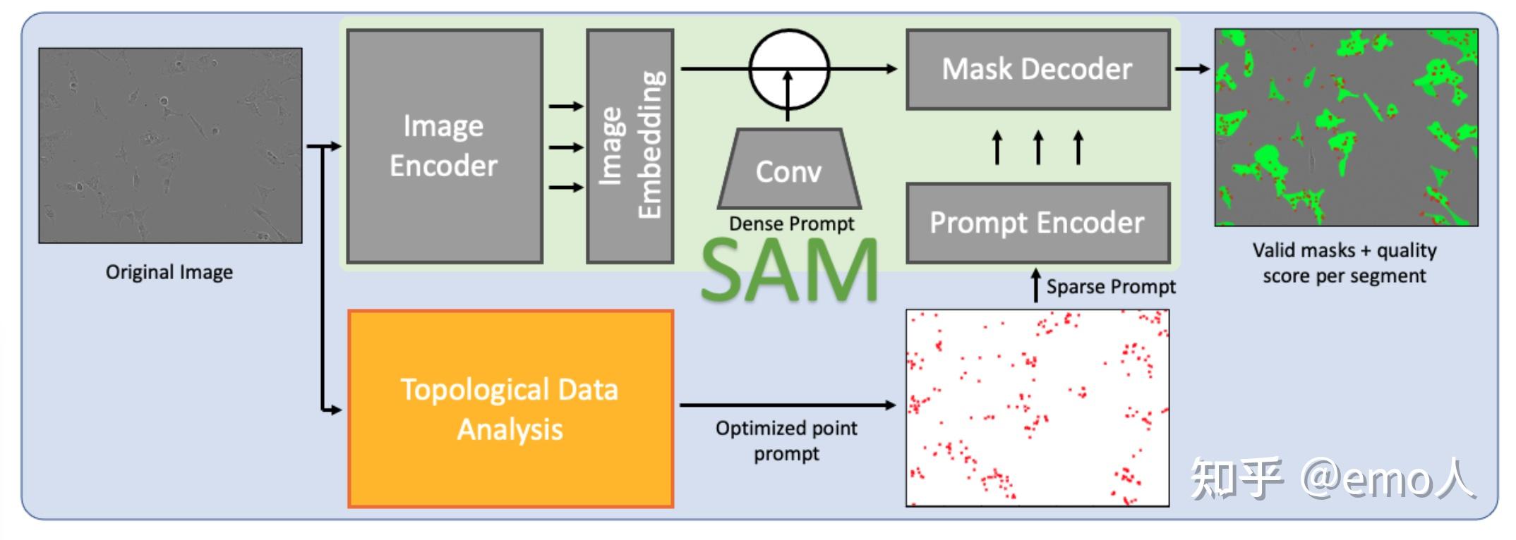 23年9月始阅读过的SAM相关文章总结[2024/4/2] - 知乎