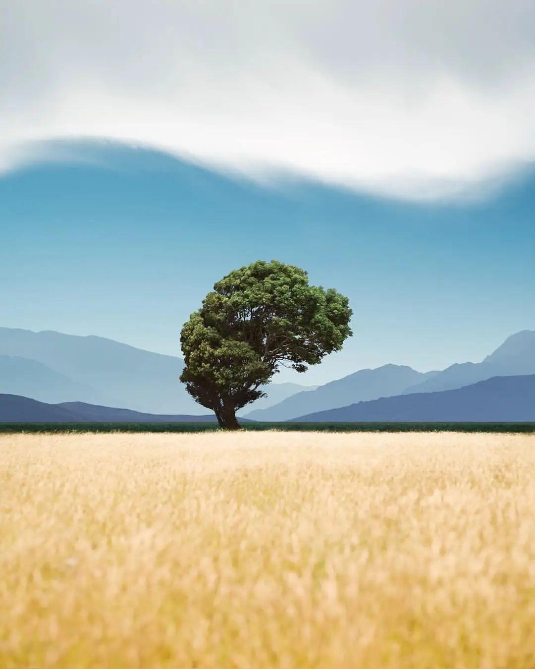 Benjamin Everett|发现自然的温柔 - 知乎