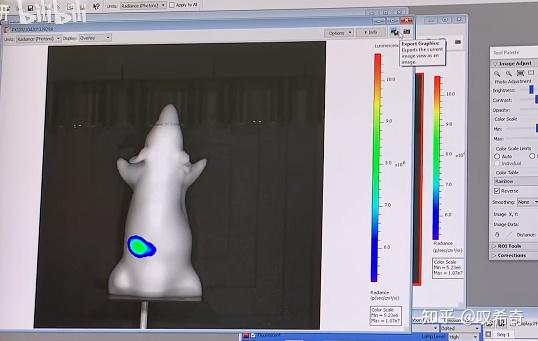 IVIS小动物活体成像仪学习笔记 - 知乎