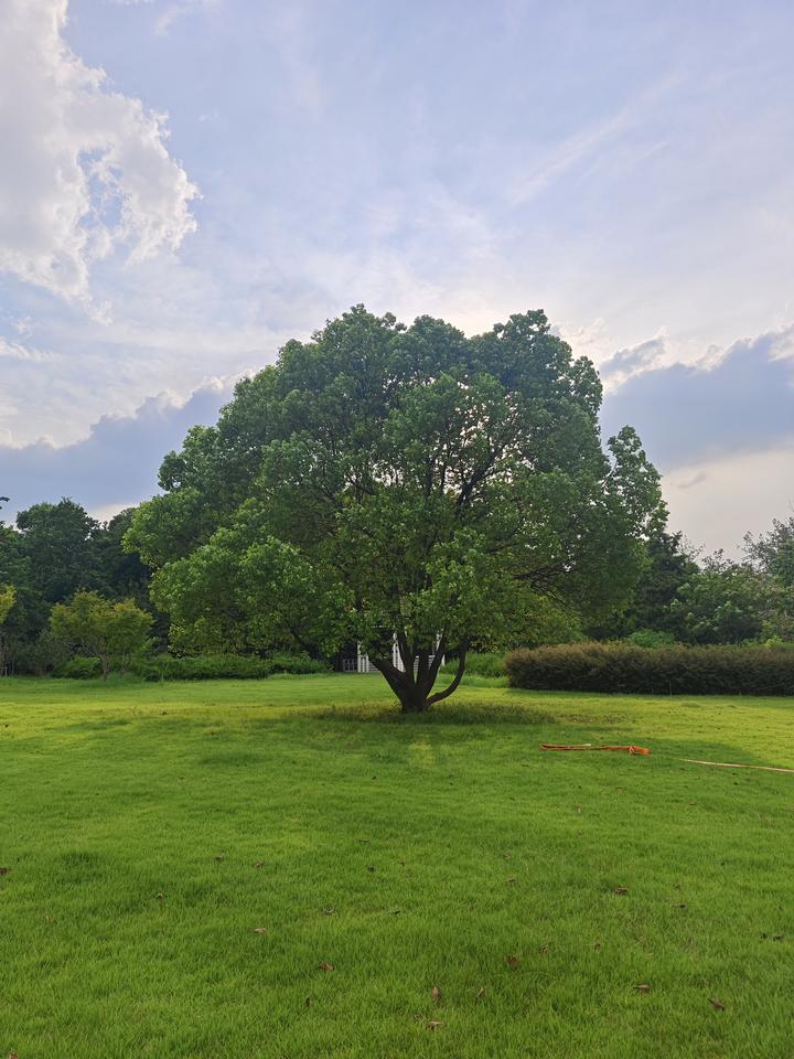 MATLAB提取wannier90_hr.dat文件得到TB模型并计算能带和费米面 - 知乎