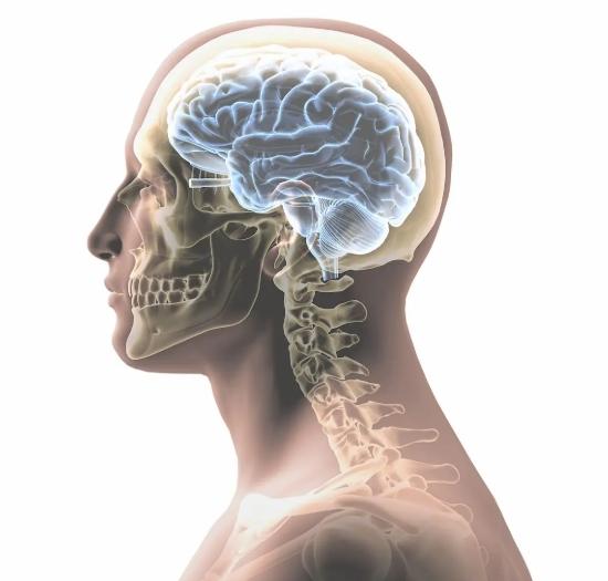 Petosemtamab 获得 FDA 突破性疗法认定 - 知乎