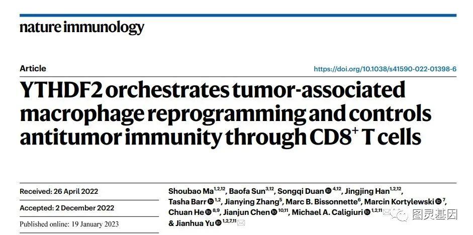 Nat Immu | m6A阅读蛋白协调肿瘤相关巨噬细胞的重编程，控制抗肿瘤免疫力 - 知乎