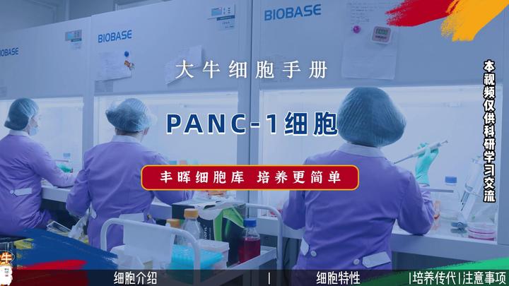 PANC-1细胞培养，人胰腺癌细胞培养攻略-丰晖生物 - 知乎