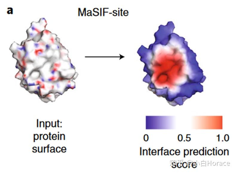 【AIDD系列】MaSIF系列论文详解，揭开蛋白表面指纹的面纱 - 知乎