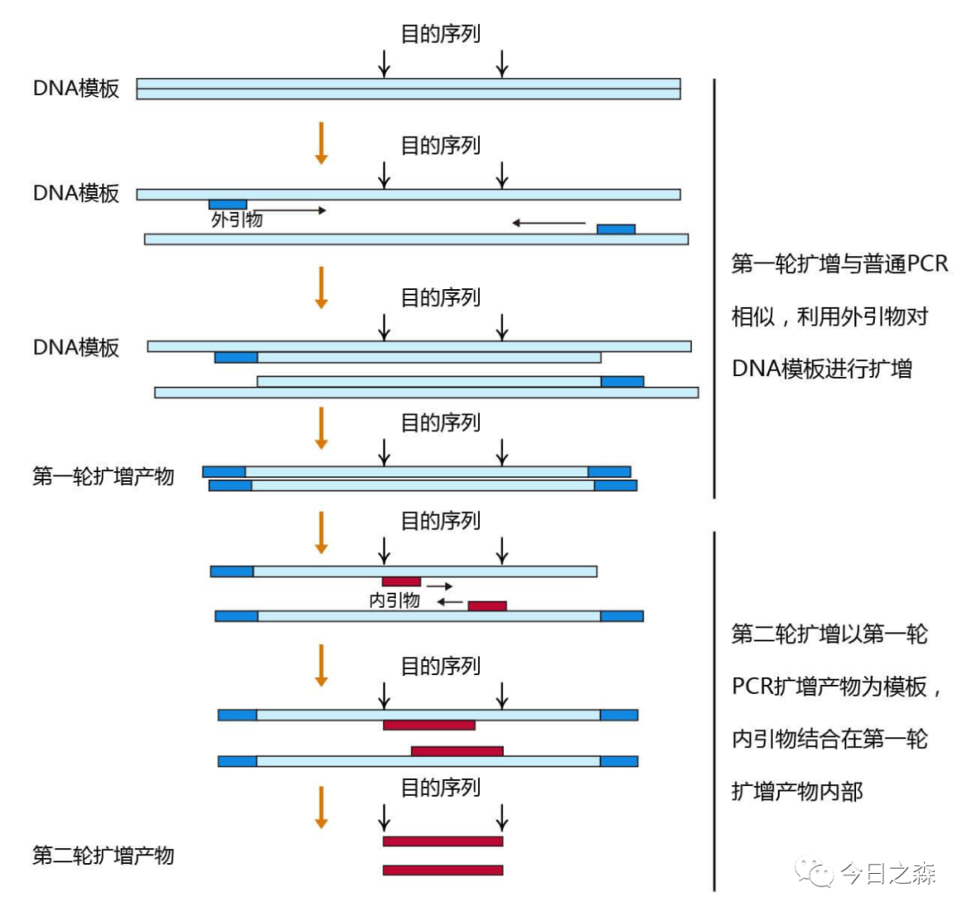 基础实验重新认识（5）——PCR相关 - 知乎