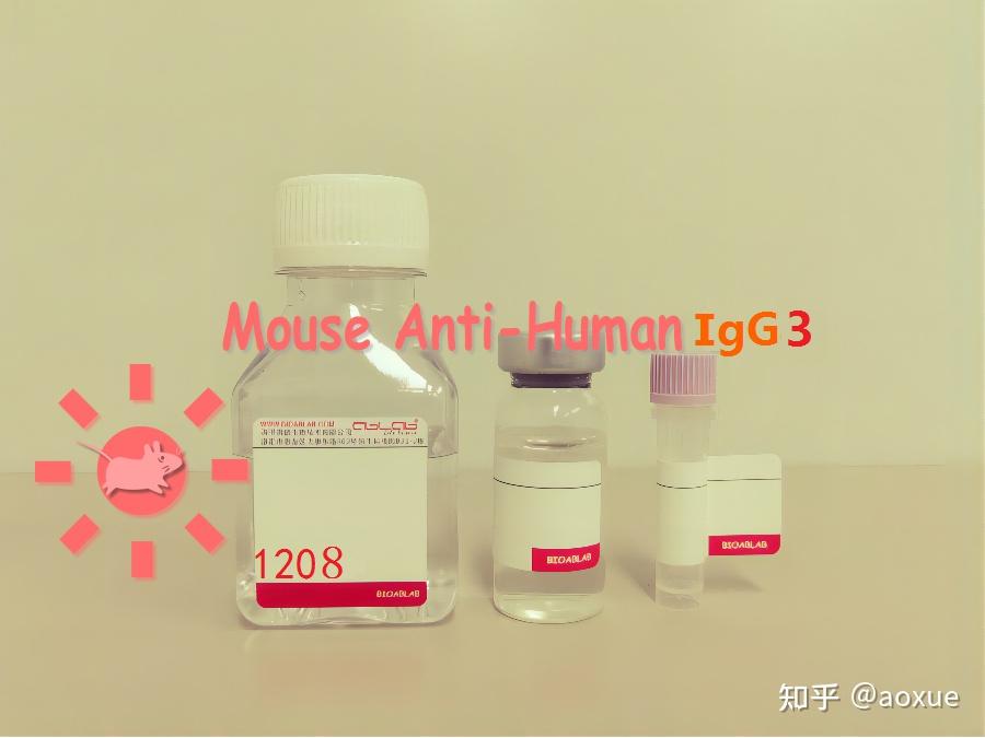 小鼠抗人IgG3 - 知乎