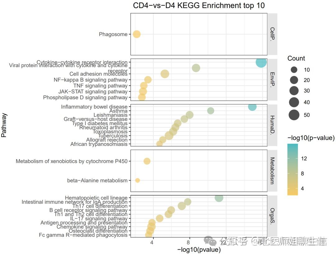 RNA-seq（完整）：转录组测序分析（论文级数据分析及可视化全套） - 知乎
