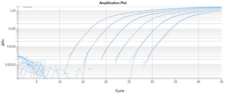 qPCR数据的双ΔΔCt法计算及其原理 - 知乎