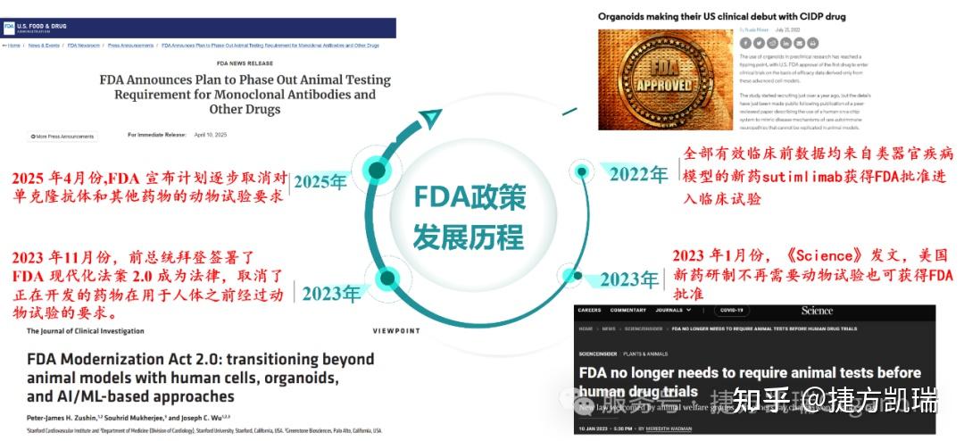 政策法规 | FDA重磅新政！类器官+AI替代动物试验时代来临 - 知乎