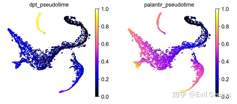 课前准备-单细胞新版velocity（cellrank 2） - 知乎