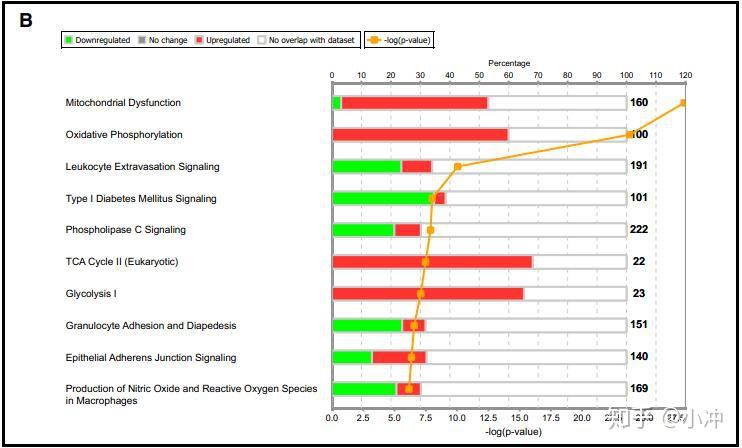 Go（Gene Ontology） analysis——“生信分析”基础四 - 知乎