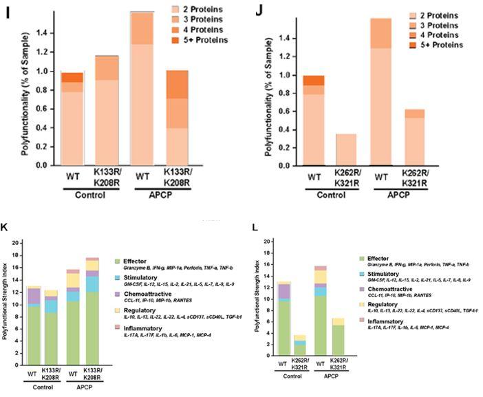 《Science Advances》新发布! 单细胞蛋白组技术验证CD73为新的癌症治疗靶点 - 知乎