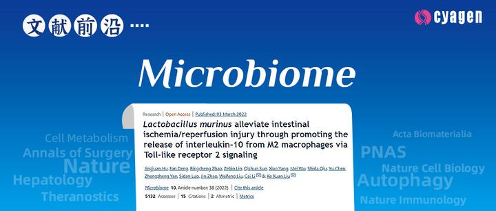 南方医院团队首次揭示鼠乳杆菌通过TLR-2信号促进M2型巨噬细胞释放IL-10改善肠缺血再灌注损伤 - 知乎