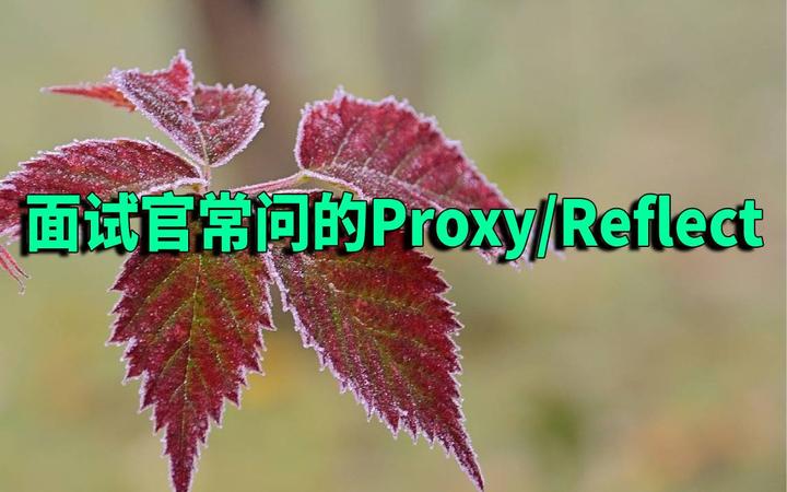 面试官常问的Proxy/Reflect - 知乎